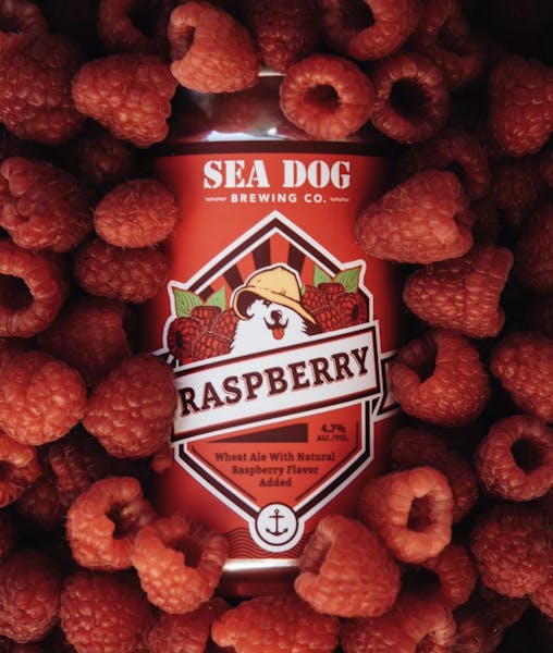 Raspberry Wheat Ale | Sea Dog Brewing Company in in ME, NH & FL