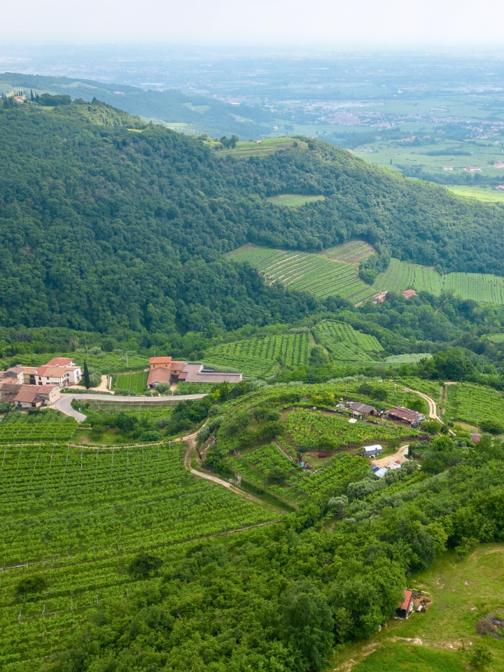 Discover Le Morette & Corte Volponi | Italian Restaurant in ...