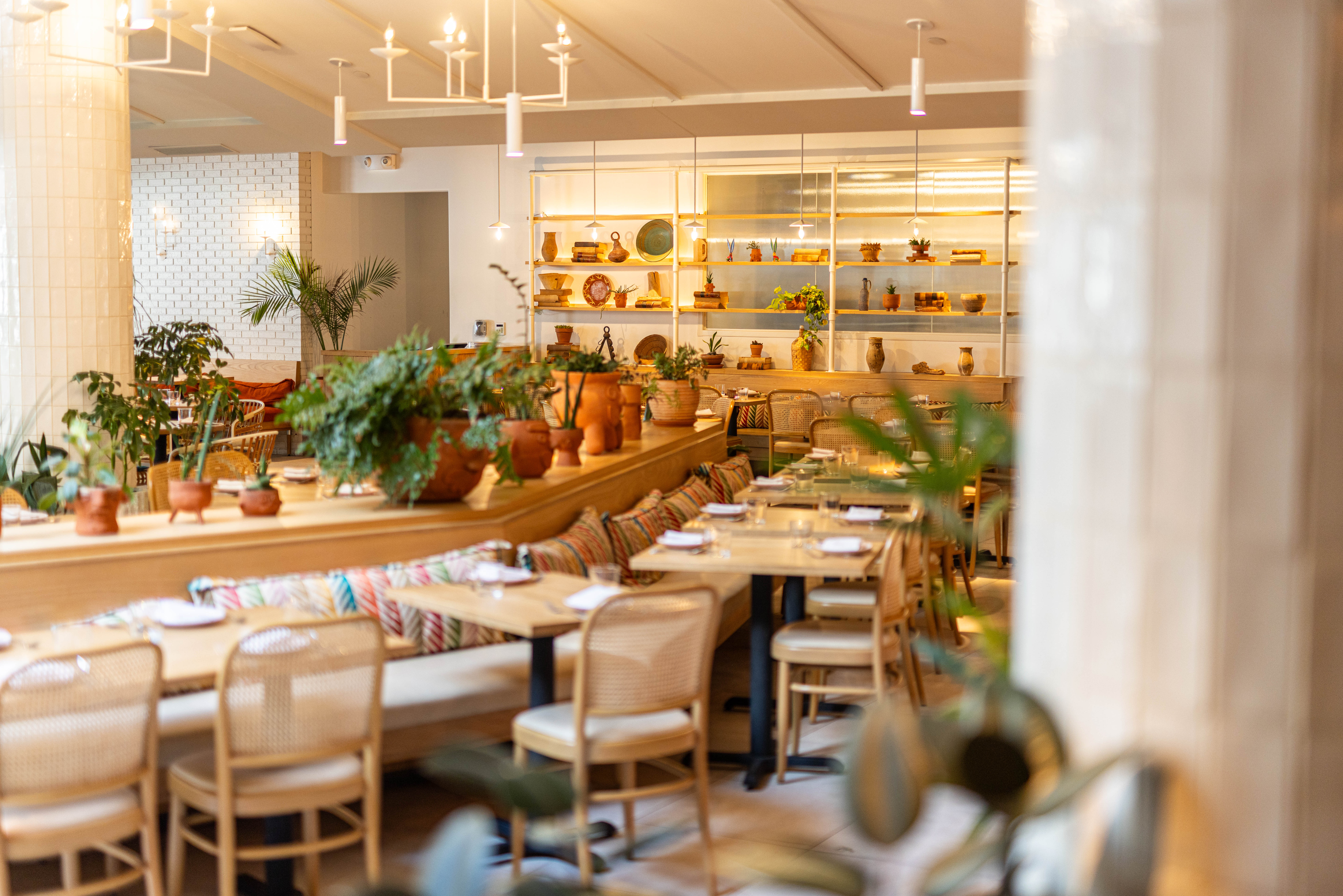 Condesa | Hours + Location | Condesa & El Techo | Mexican Restaurants ...