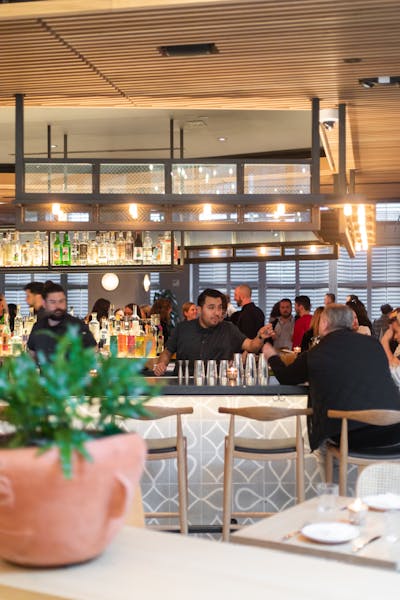 Condesa | Hours + Location | Condesa & El Techo | Mexican Restaurants ...