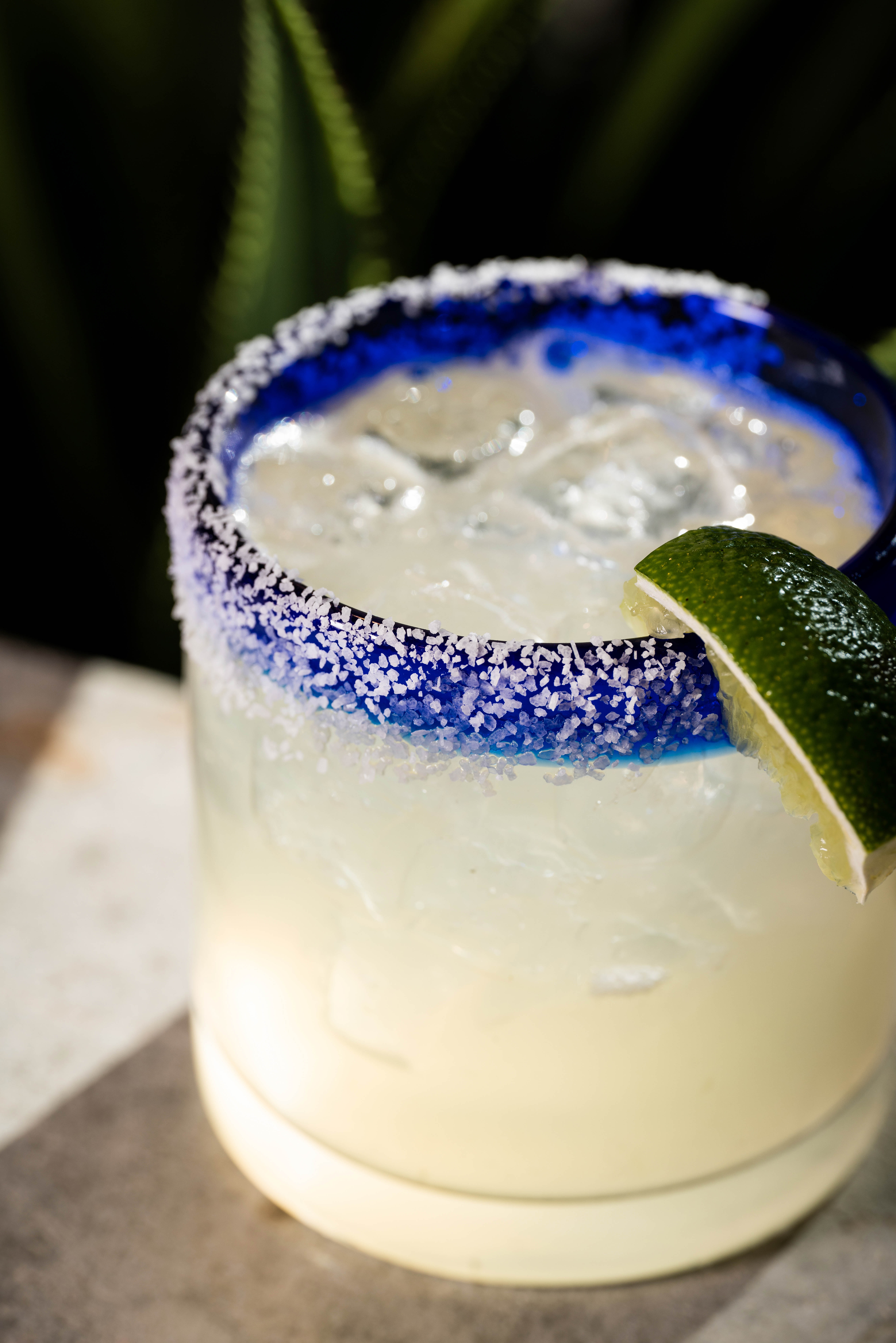 Highlights | Lady Nomada | Mexican Kitchen Taqueria & Bar in Denver, CO