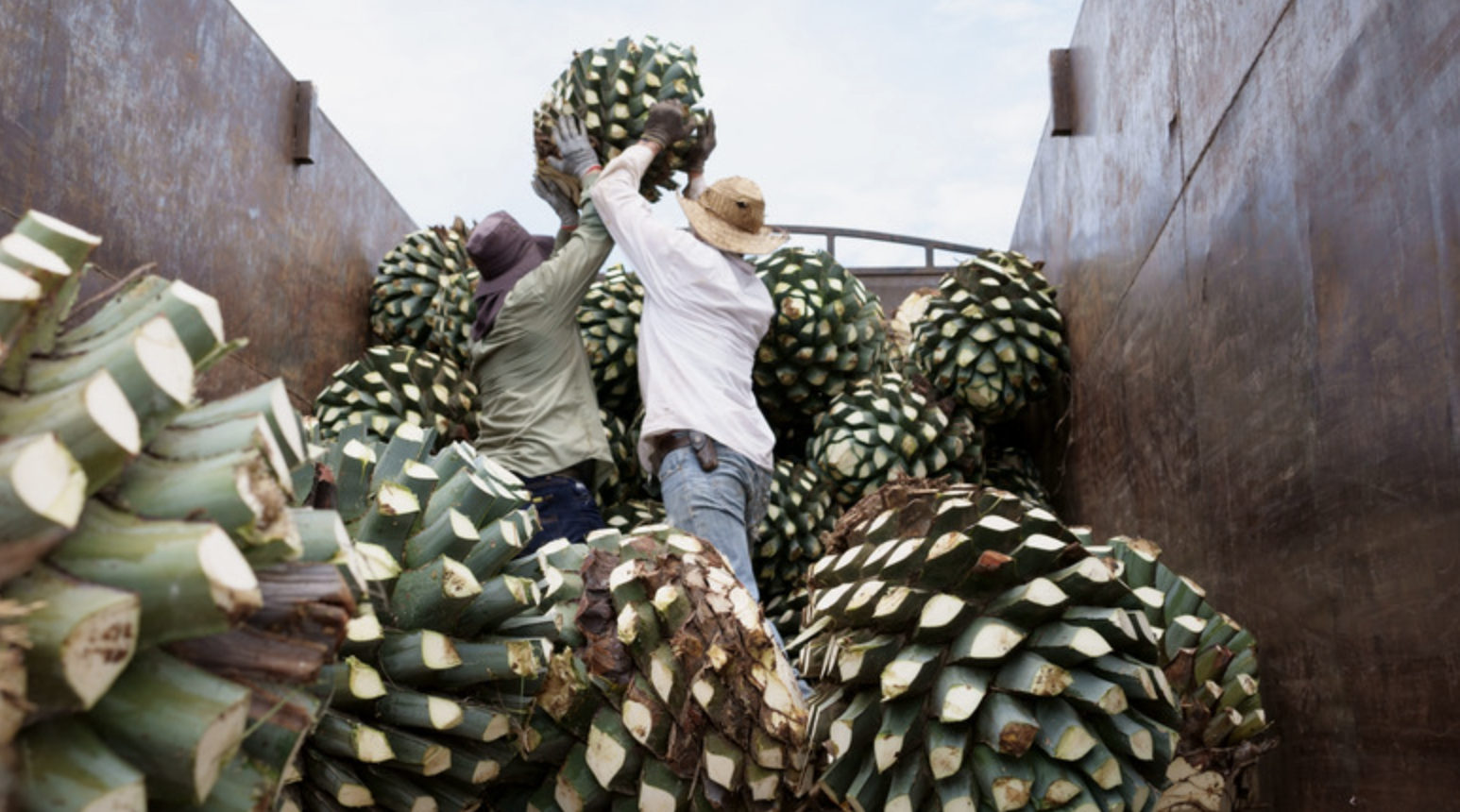 Clase Azul Tequila Dinner at Hugo’s Houston | Nov 12, 2025