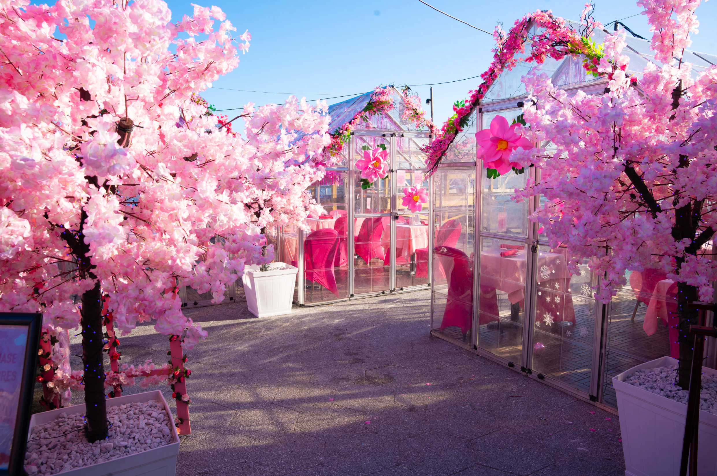 Cherry Blossom Pop-Up @ Watermark Pink Pier - Pier 15 NYC | Merchants ...