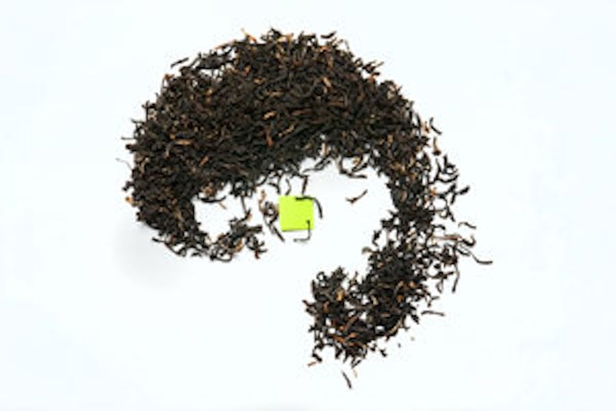 Gingia Assam | The Random Tea Room