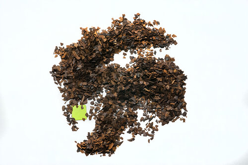 Roasted Argentinian Maté* | The Random Tea Room