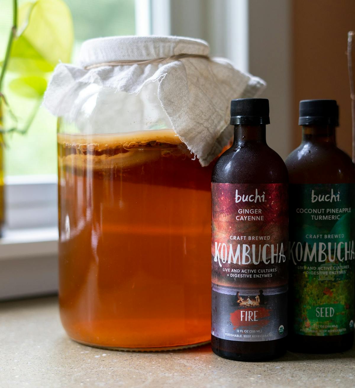 BUCHI ON TAP- IT'S WHAT YOU WOULD EXPECT FROM "A WORLD CLASS KOMBUCHA ...