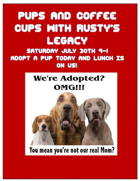 Special Pet Adoption Day Today | Sweeten Creek Coffee | Asheville, NC