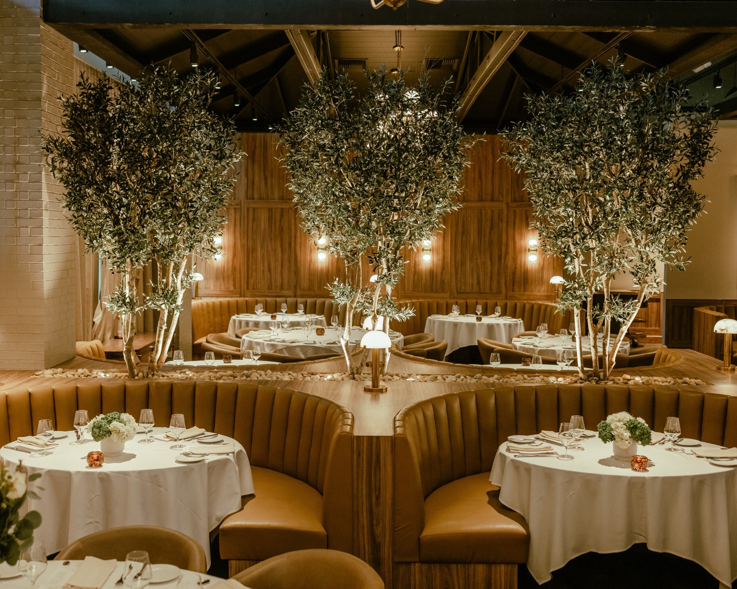 About | Harlo in Las Vegas, NV