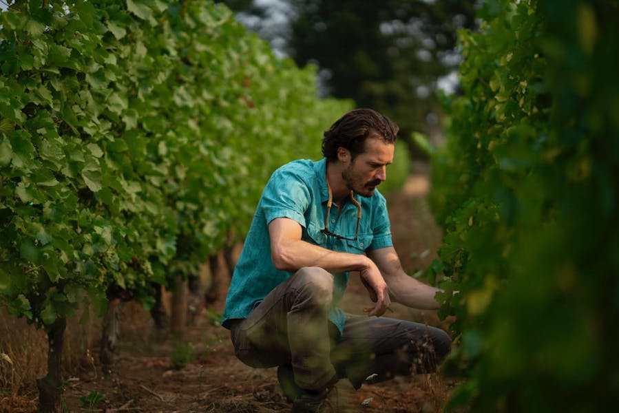 Bazaar Meat Chicago Wine Dinner with Martin Woods | The Bazaar by José ...