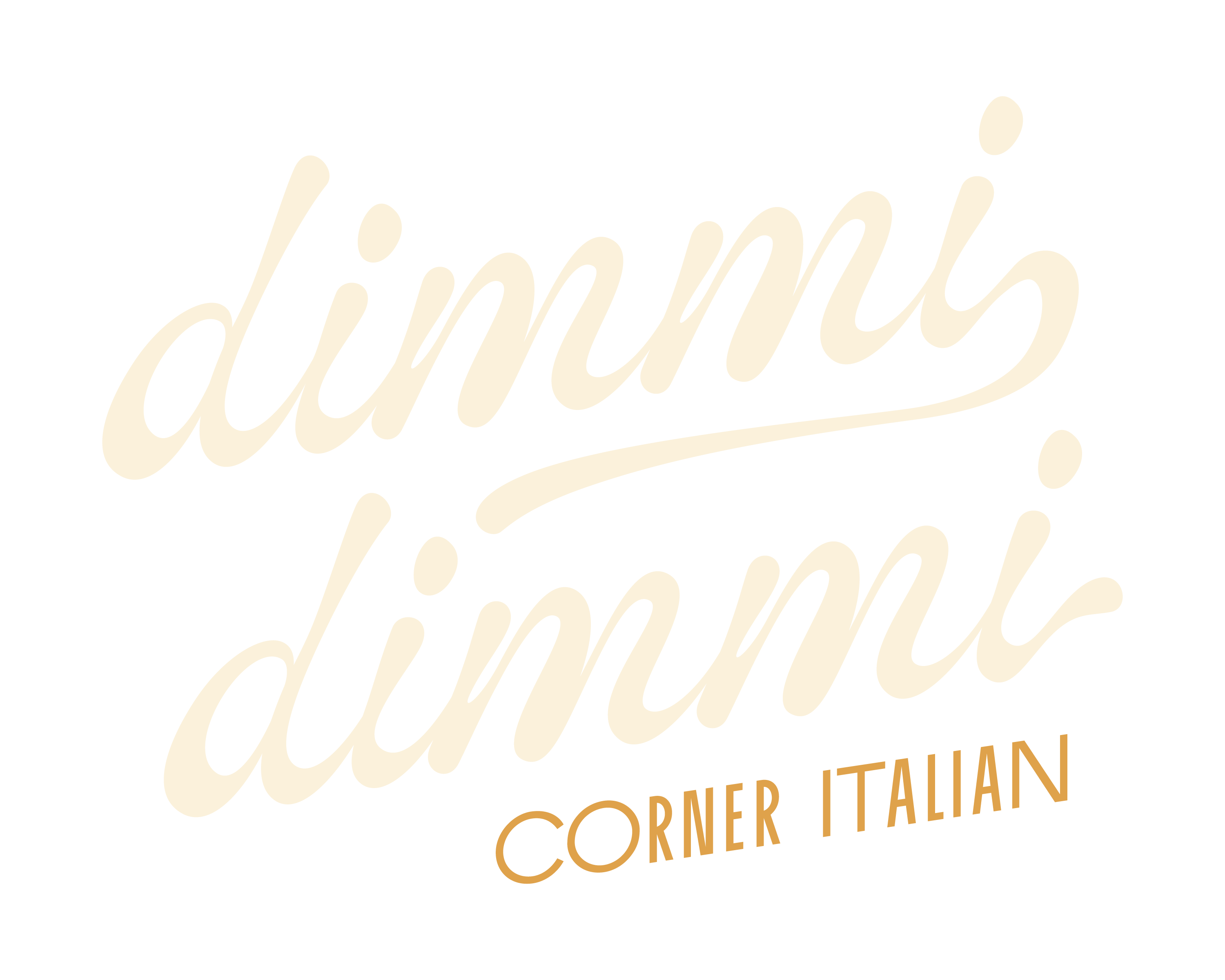Dimmi Dimmi | Italian Restaurant in Chicago, IL