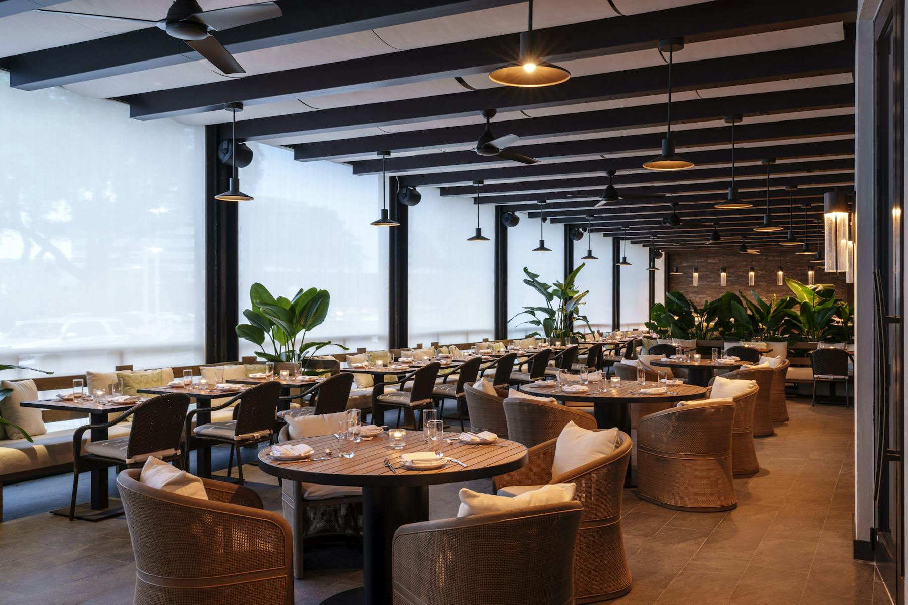 Gallery | Toku | Asian Restaurant in Manhasset, NY