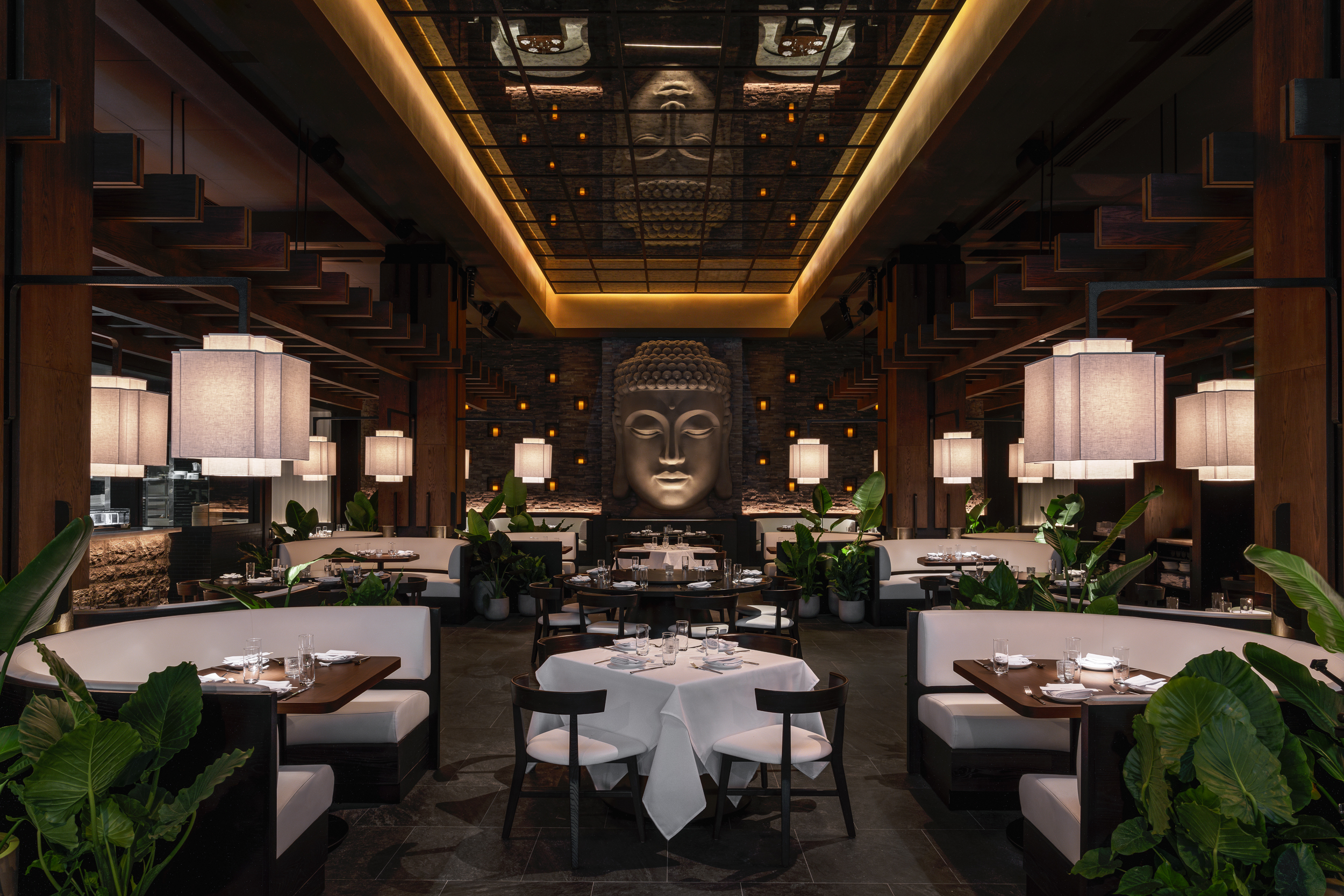 Toku Miami | Hours + Location | Toku | Asian Restaurant in Manhasset, NY