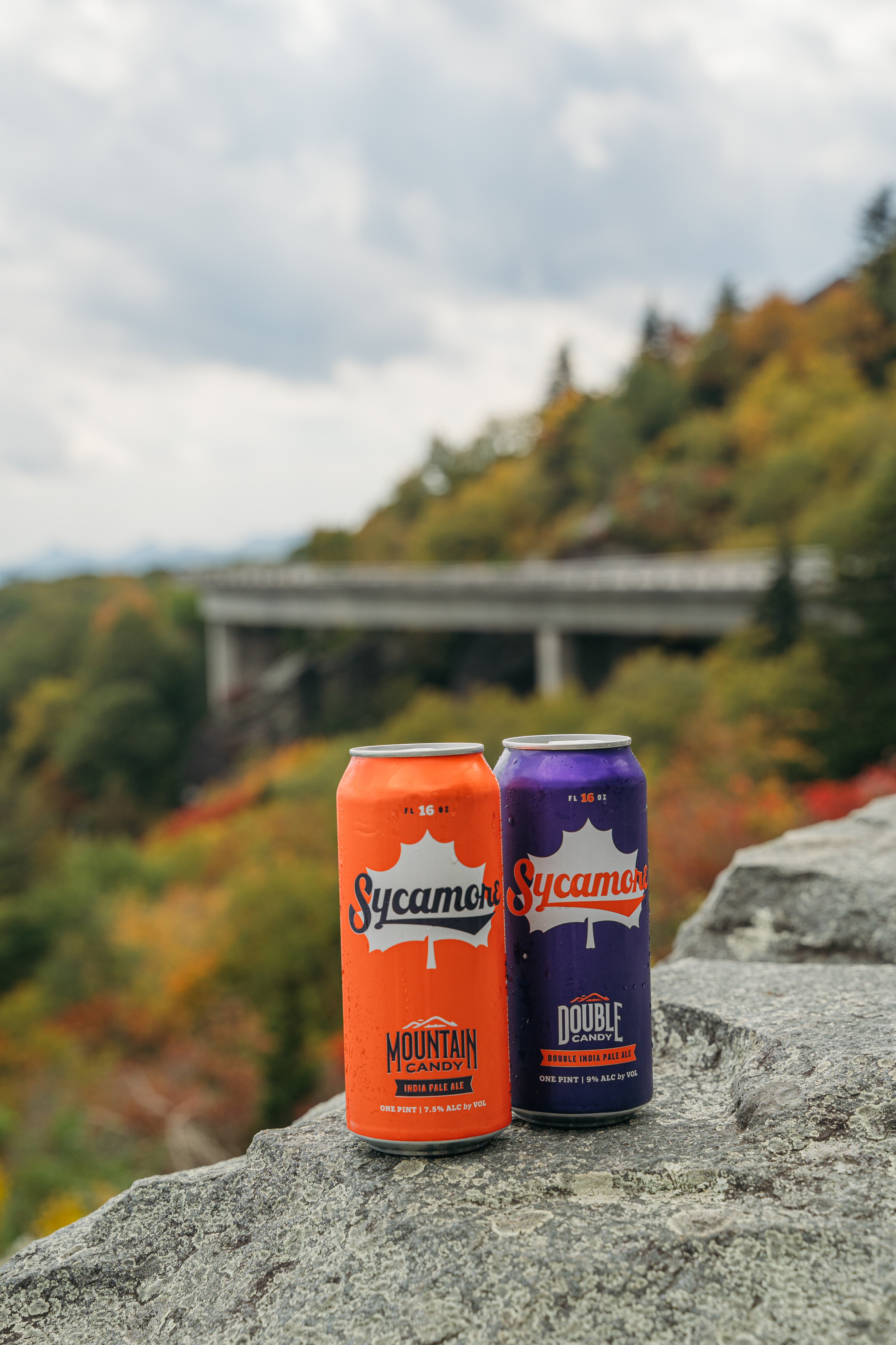 Good Times Getaways | Sycamore Brewing | Brewery & Taproom in NC