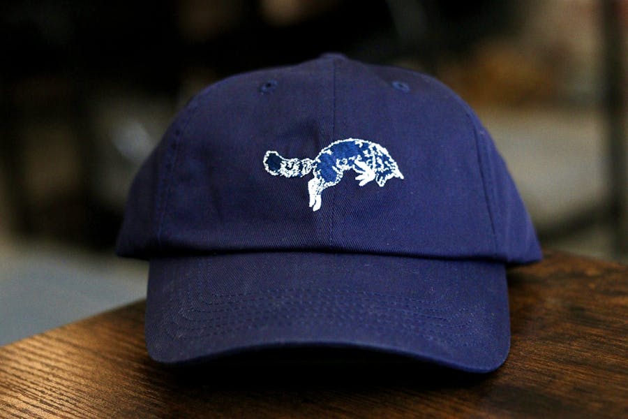 Dad Hat - Navy Blue | Fox in the Snow