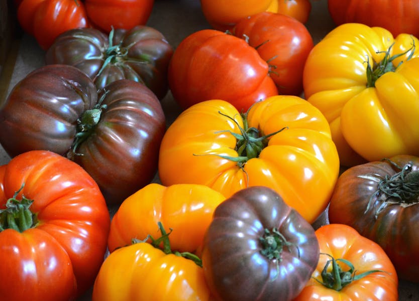 Produce | Urban Prime in Melbourne, FL