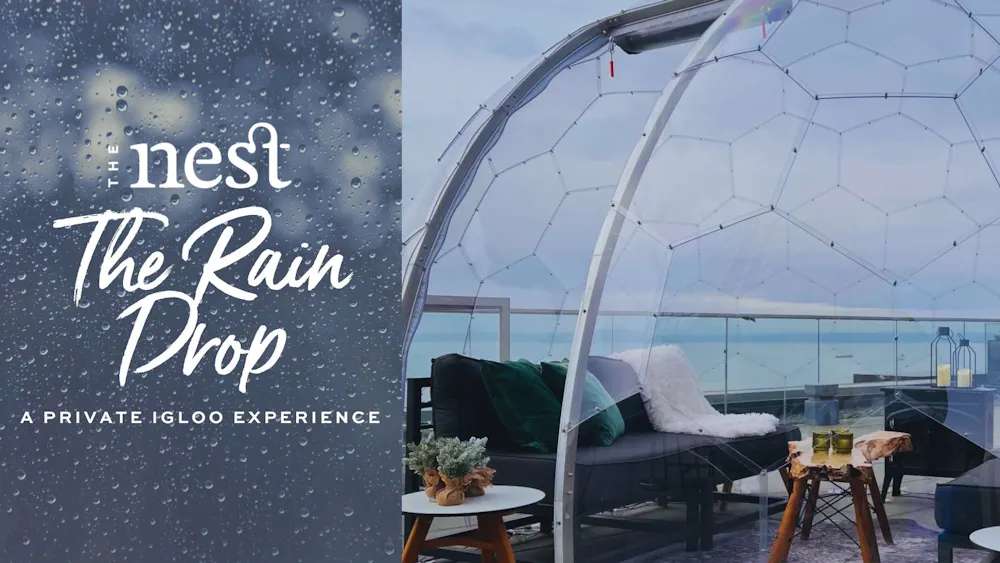 Happenings | The Nest in Seattle, WA