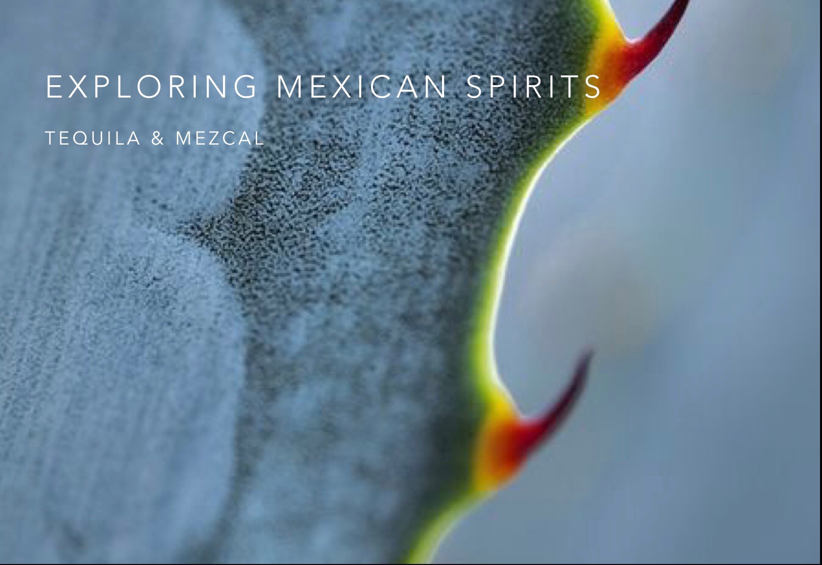 Exploring Mexican Spirits - Rescheduled Date! | Balance Restaurant