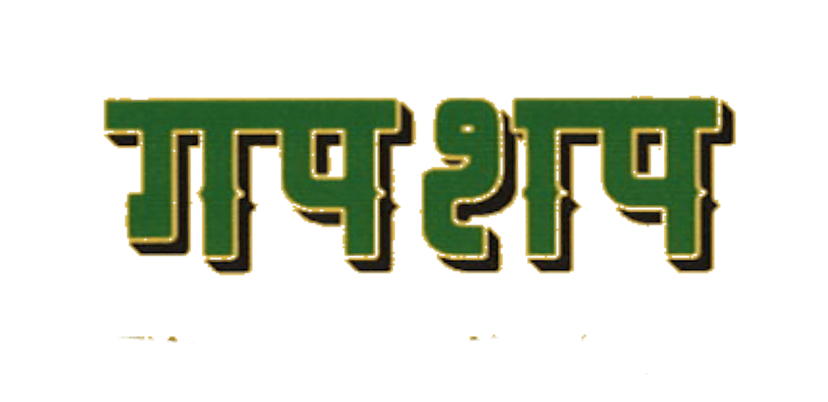 GupShup NYC Location: Authentic Savory Delights in the Heart of New York