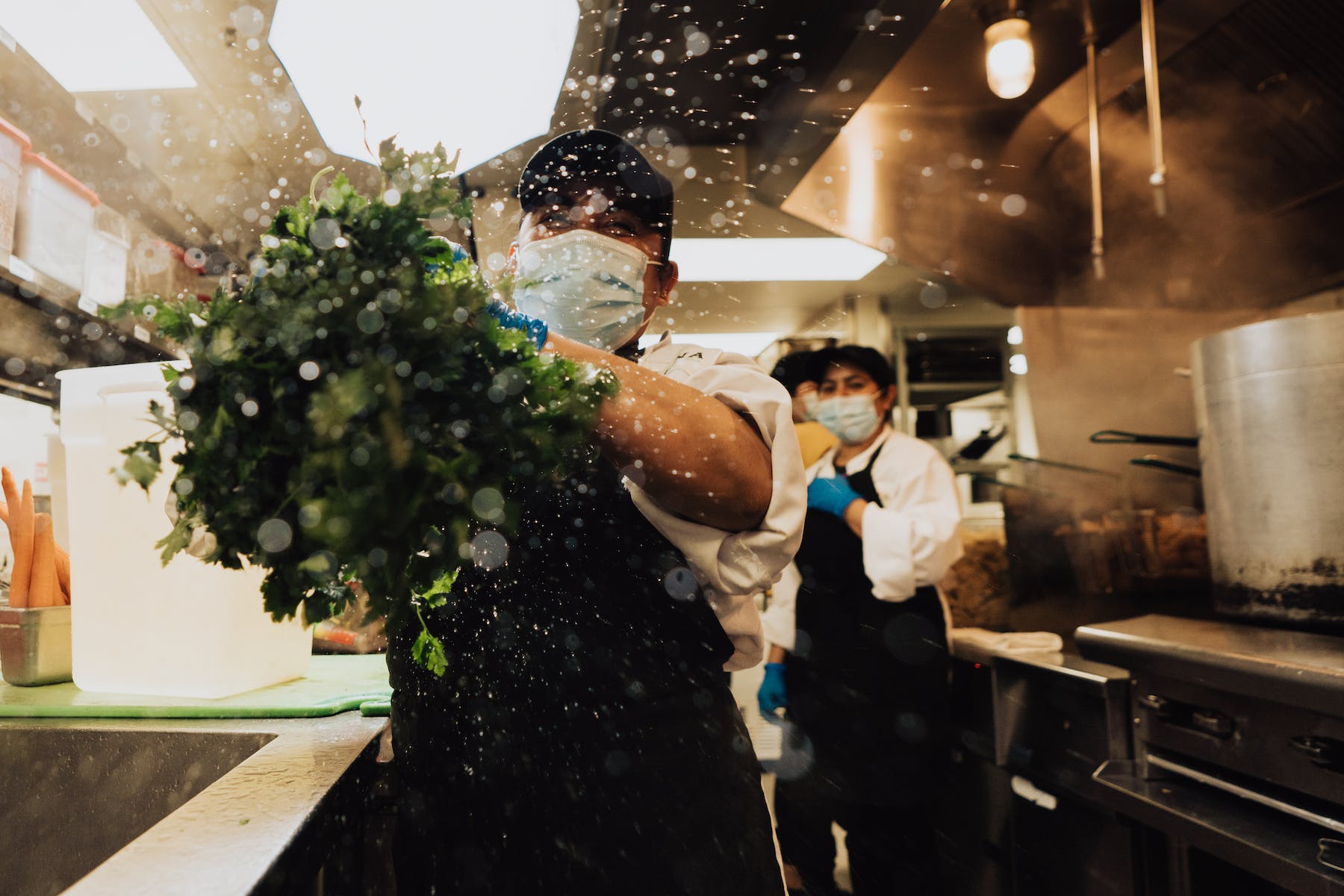 Join Our Familia | LUNA Mexican Kitchen | Farm to Table Mexican Cuisine ...