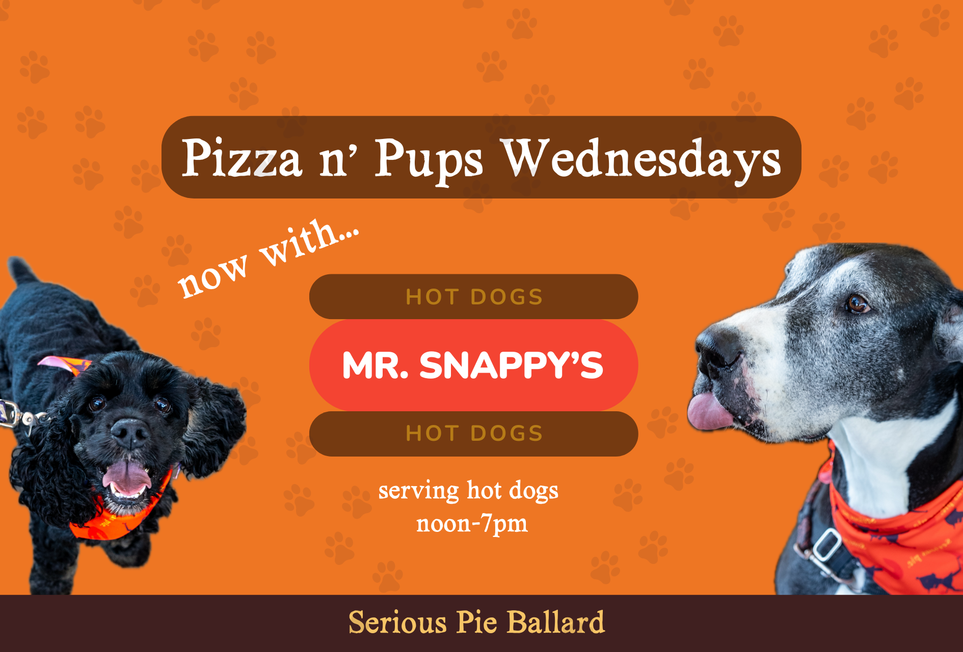 Pizza n' Pups Wednesdays | TD & Co. | Restaurants in Seattle, WA