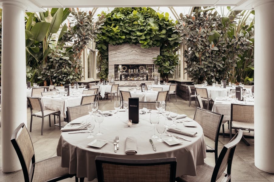 About | Rare650 in Syosset, NY