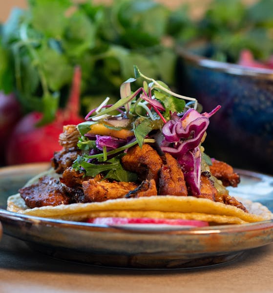 Walnut Creek | 5 Tacos & Beers | Mexican Restaurant in CA