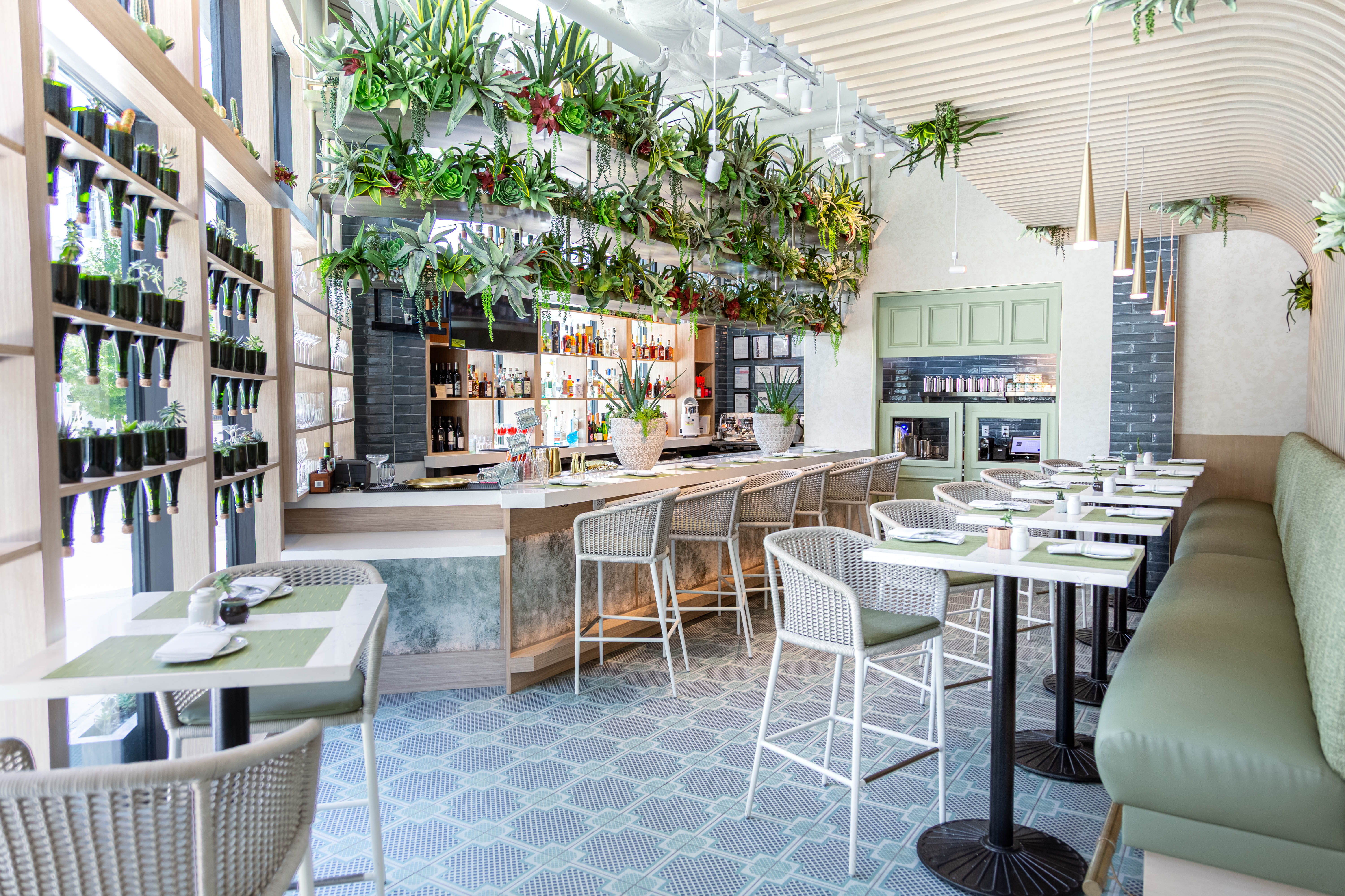 Succulent Fine Dining