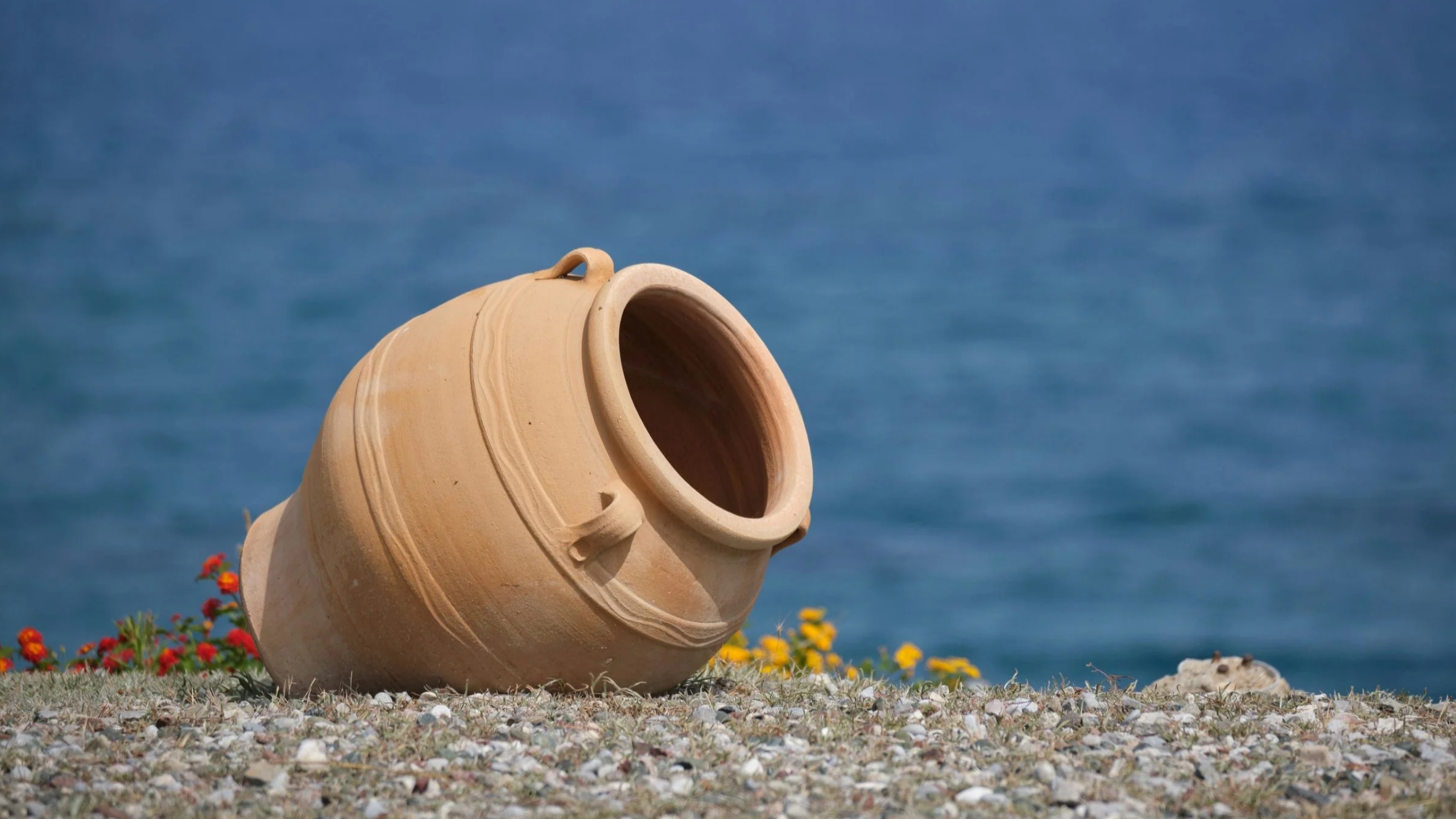 Wine Making Styles Through the Ages. Saturday Aug 24th 3pm | Class Act ...