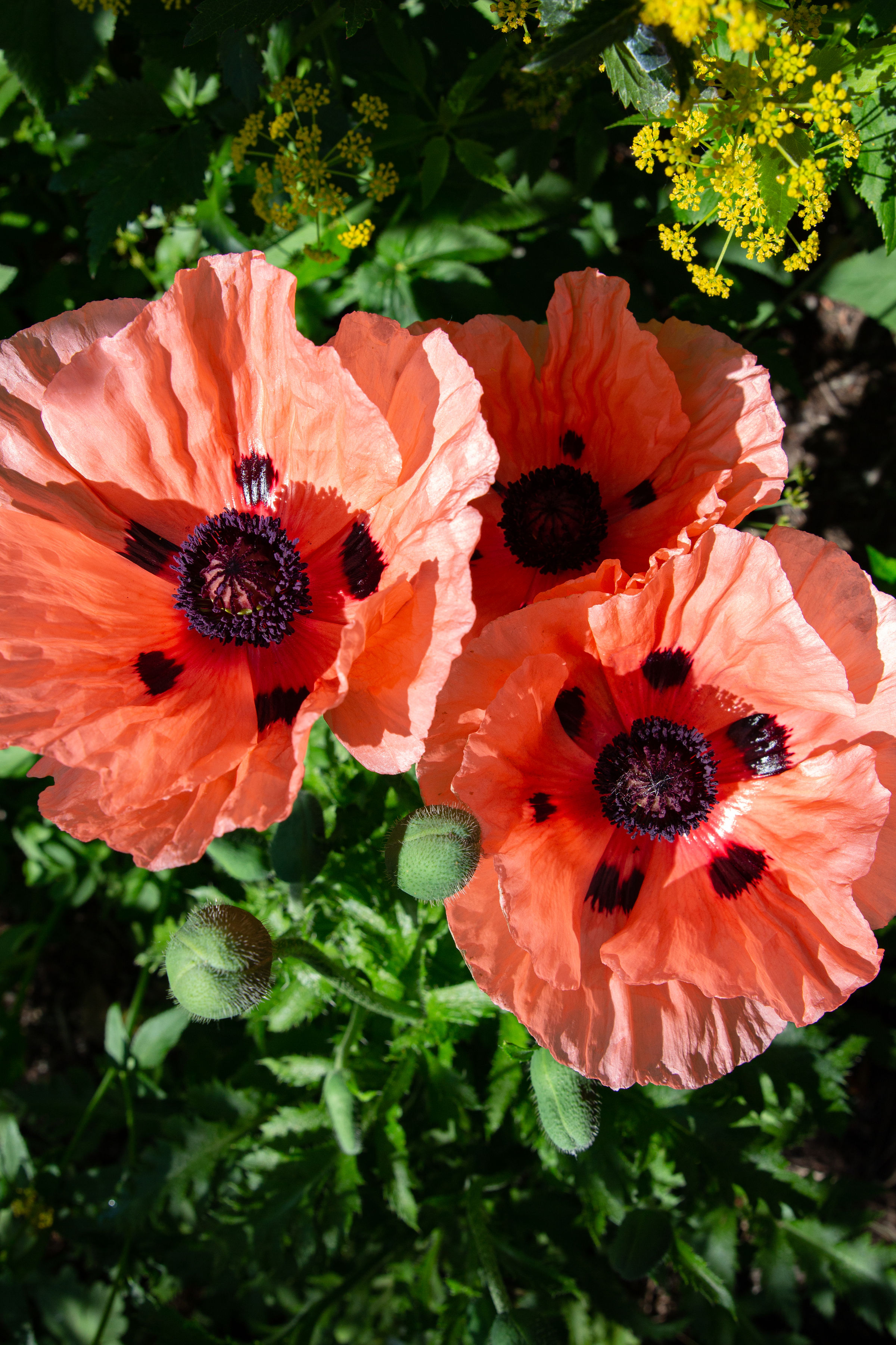 Private Events | Kitty's Hudson in Hudson, NY