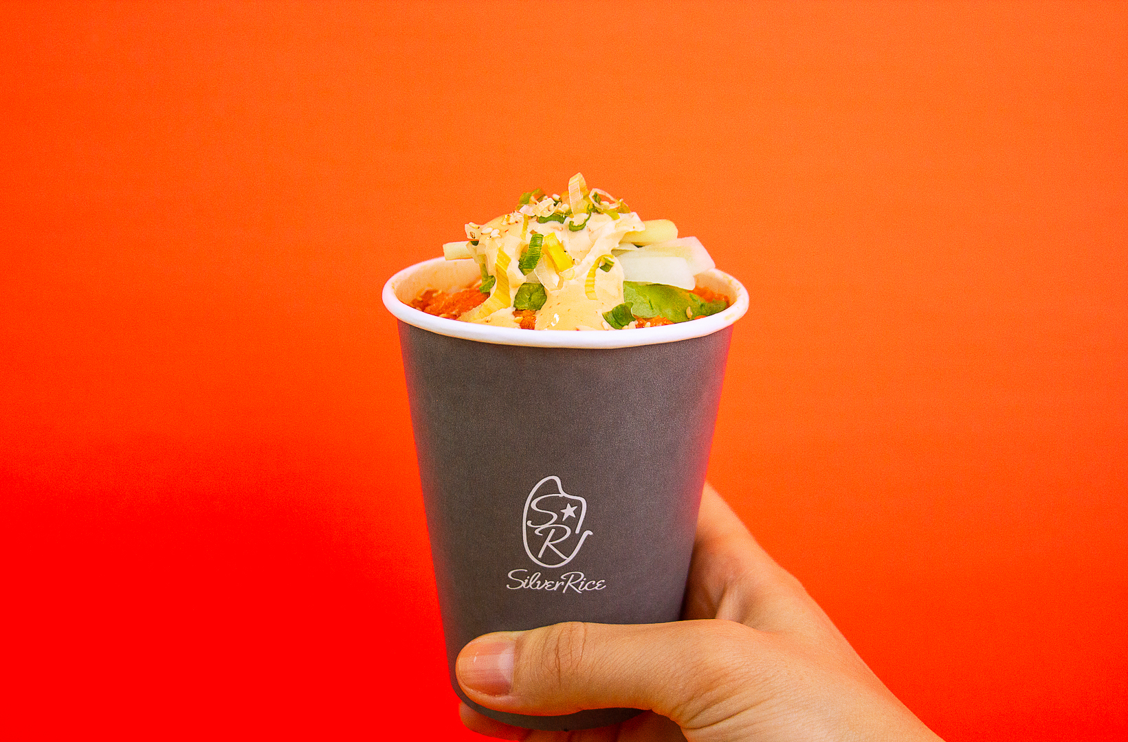 About | Silver Rice in Brooklyn, NY