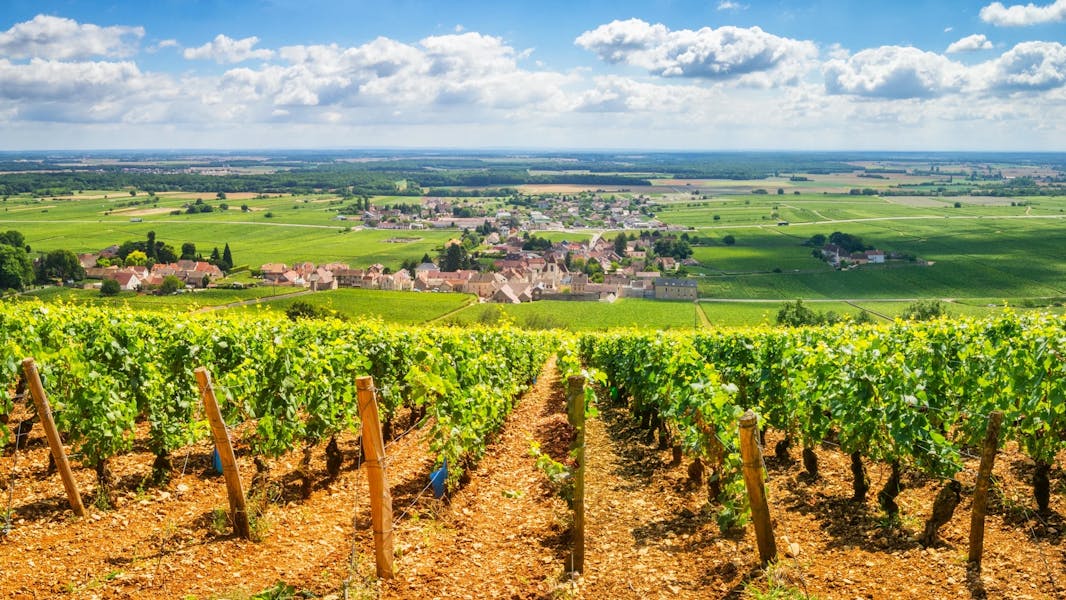 Burgundy Wine Dinner | Eno Terra - Farm to Table Restaurant & Enoteca ...