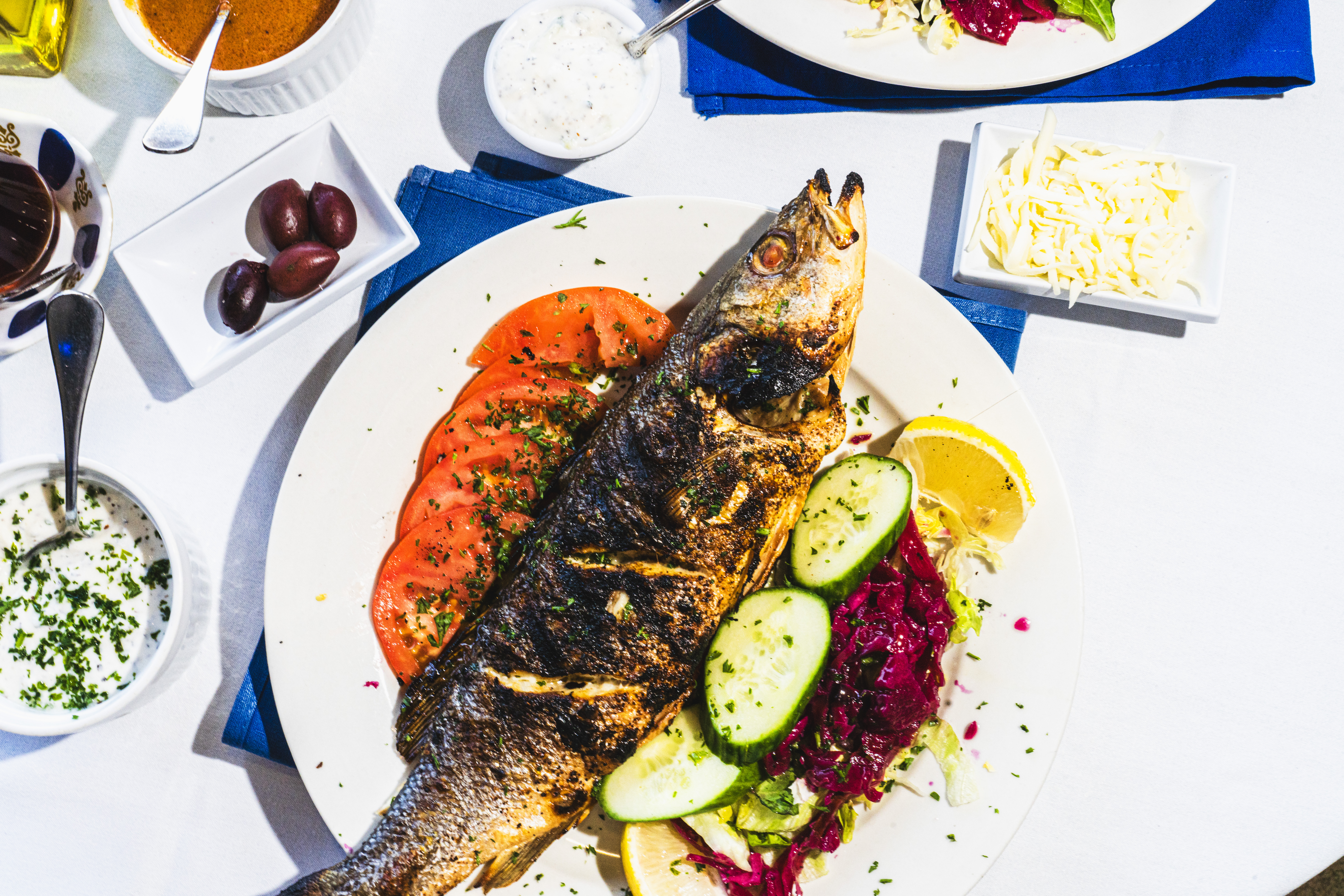 Seafood | Istanbul Blue | Turkish Restaurant in Vienna, VA