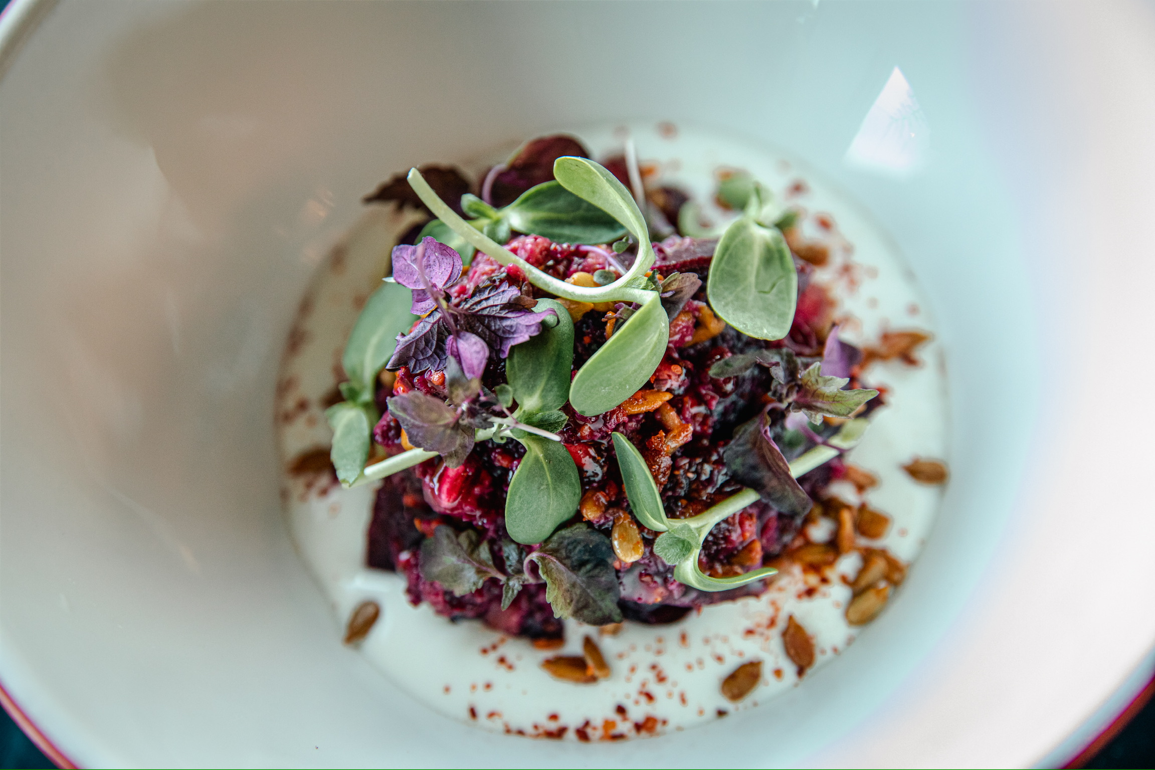 The Nautilus | Come Get a Taste