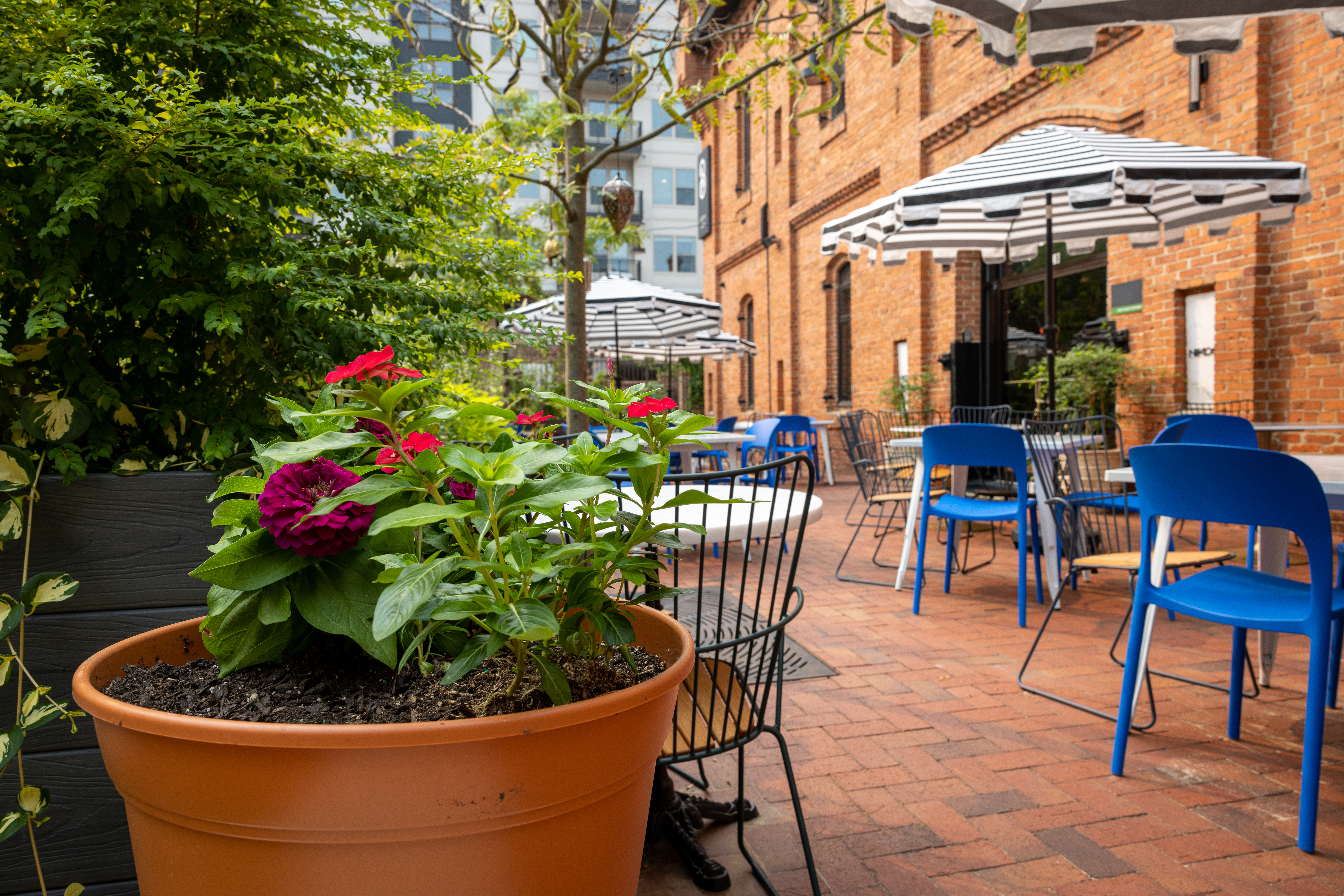 Outdoor Terrace | Nikos Durham | Greek Restaurant in Durham, NC