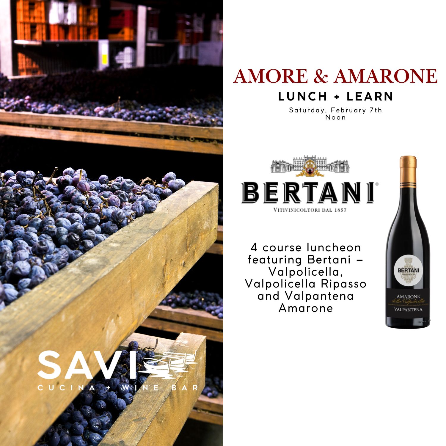 Amore & Amarone Lunch and Learn at SAVI