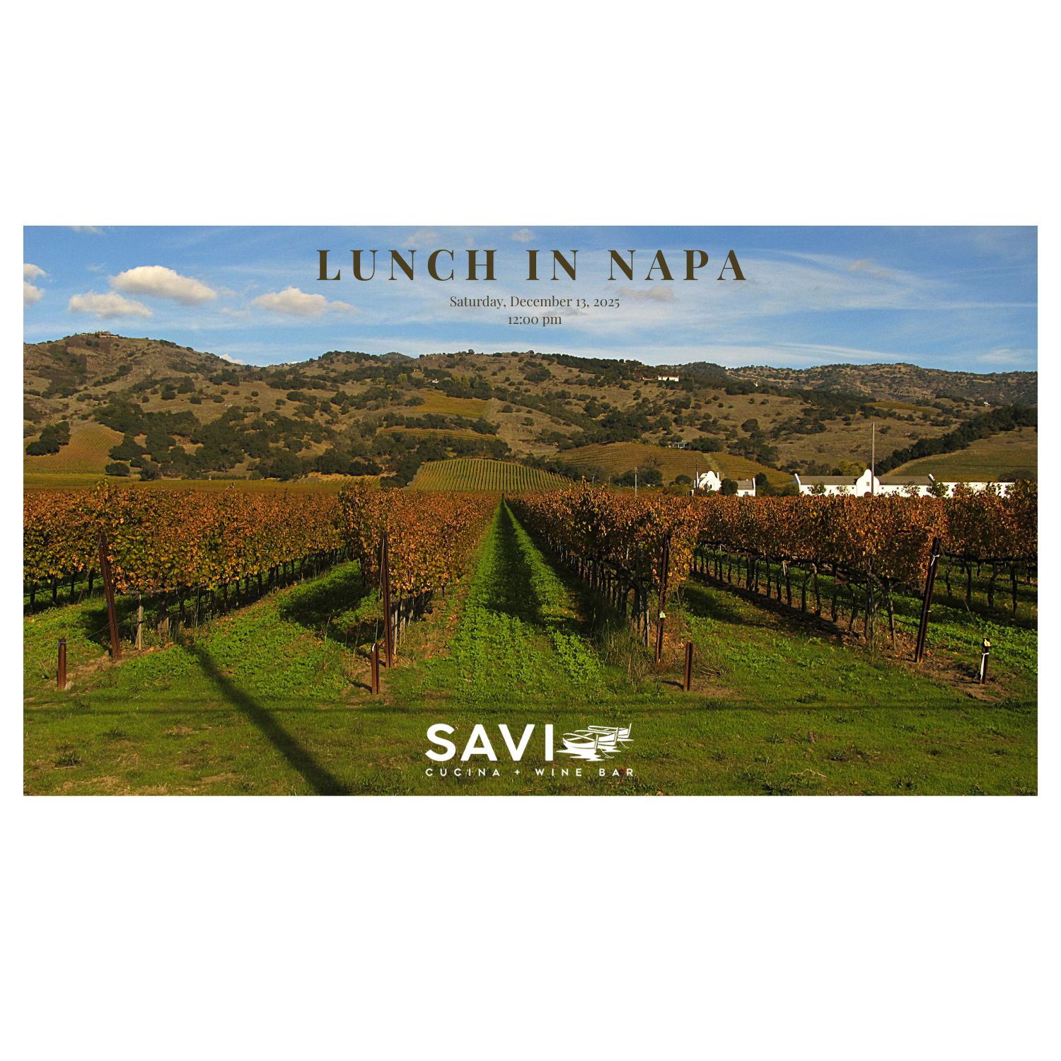 Lunch in Napa: A Culinary Journey Through Napa Valley Wines