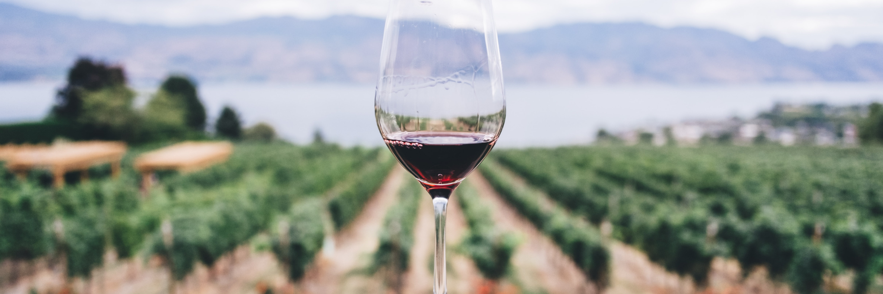 BENE Cellars Wine Club | SAVI Cucina – Mt. Pleasant, SC