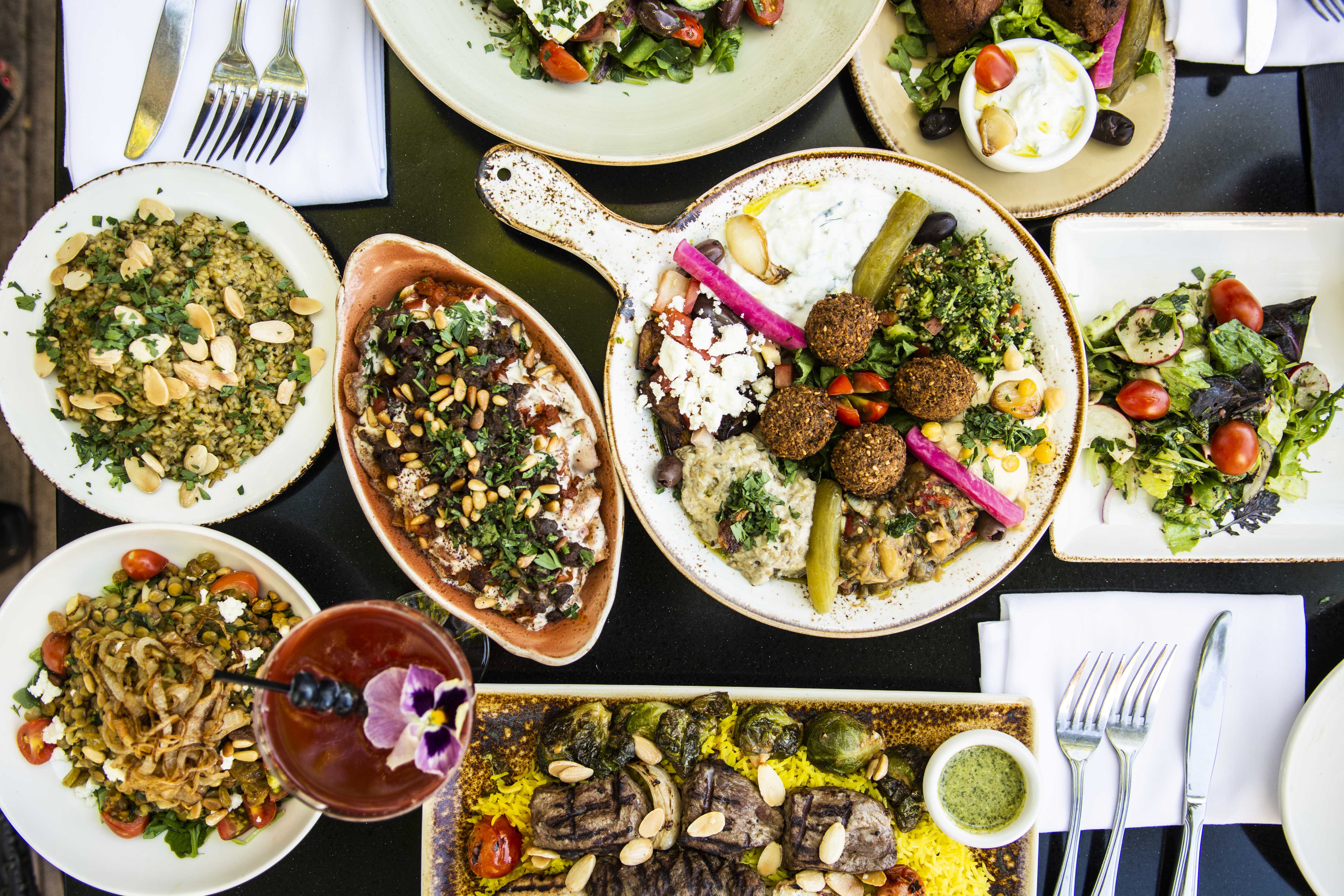 Download Our App | Dishdash in CA