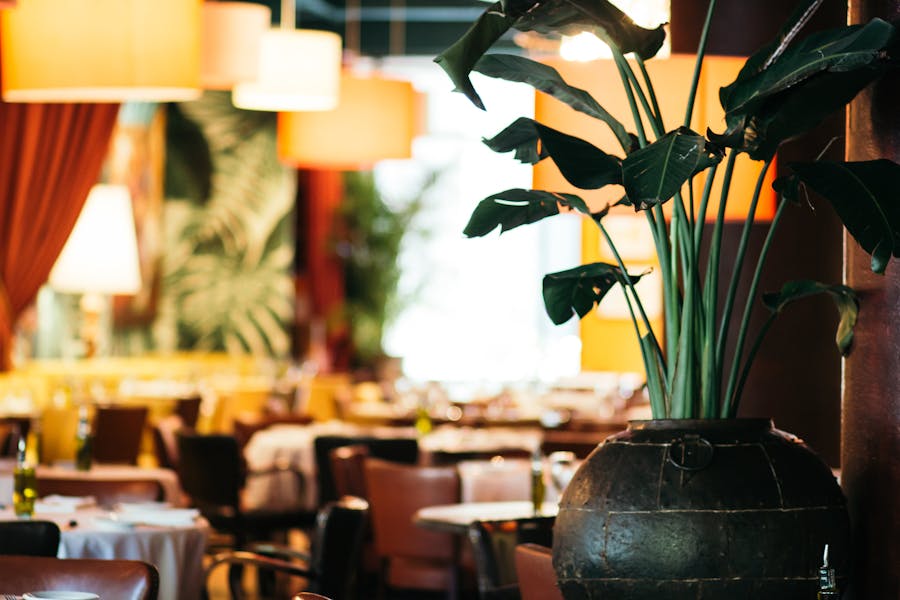 Full Restaurant | Parizade