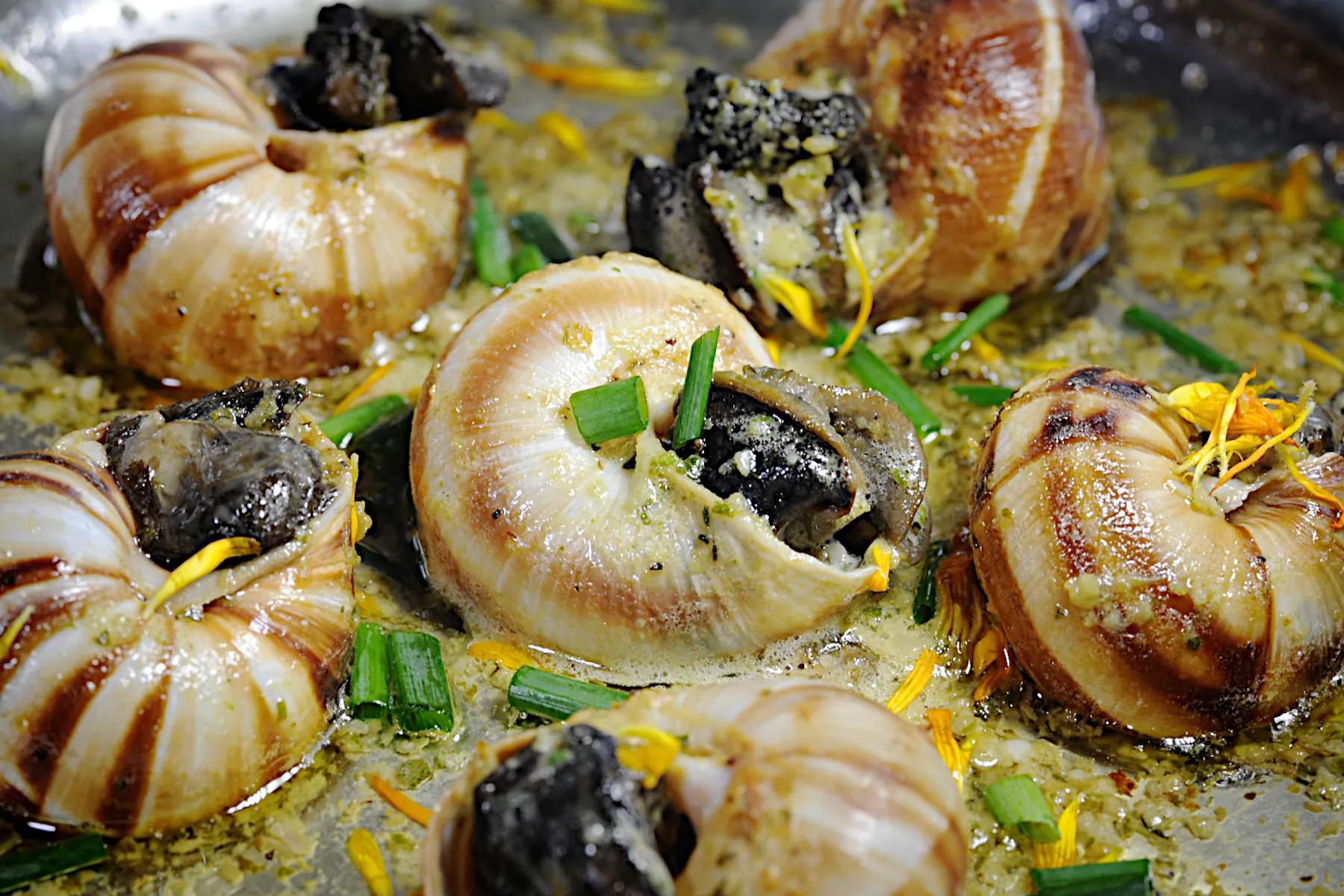 Photo Gallery | A Fish Called Avalon | Miami Beach Restaurants