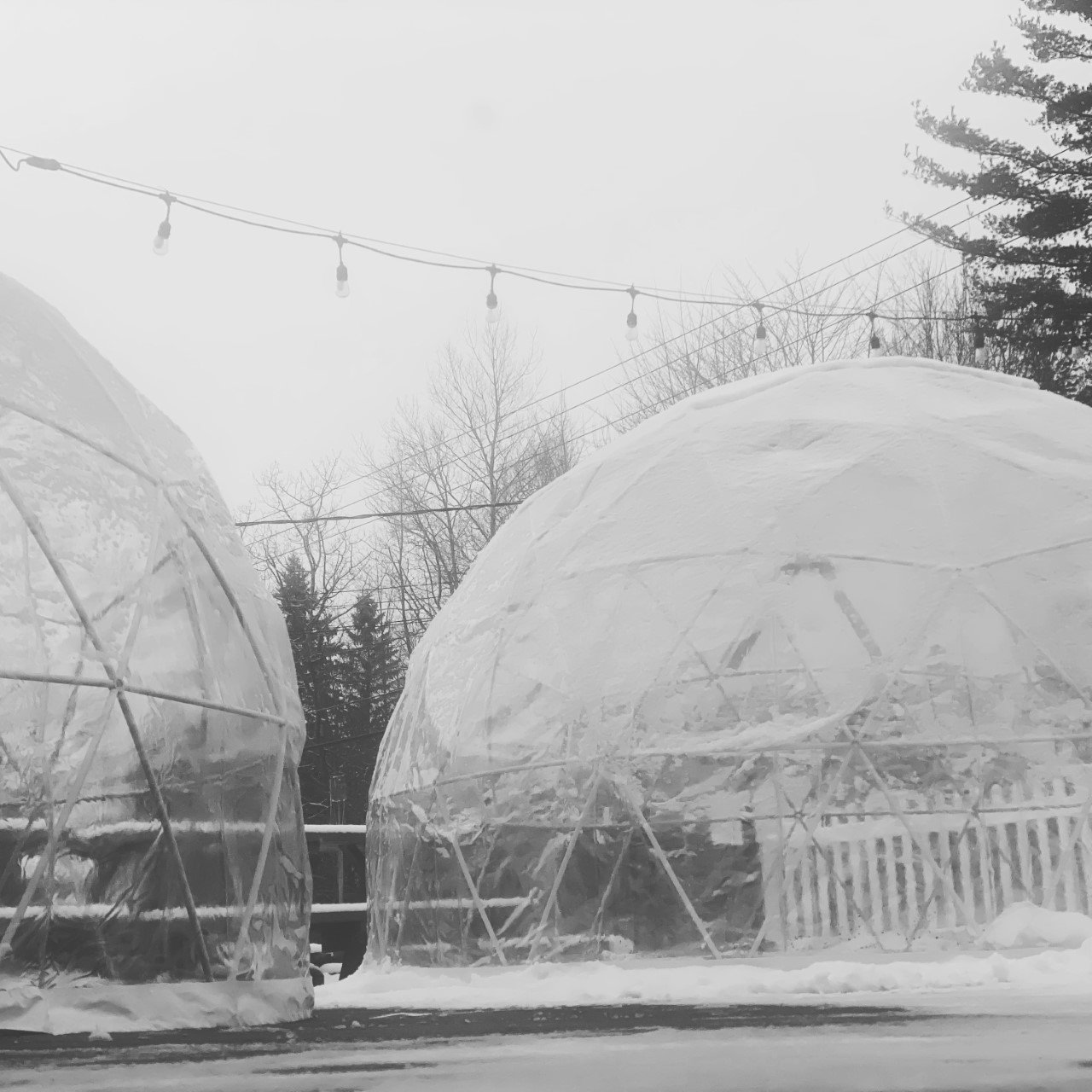 IGLOO Dining | Jessie's Harvest House