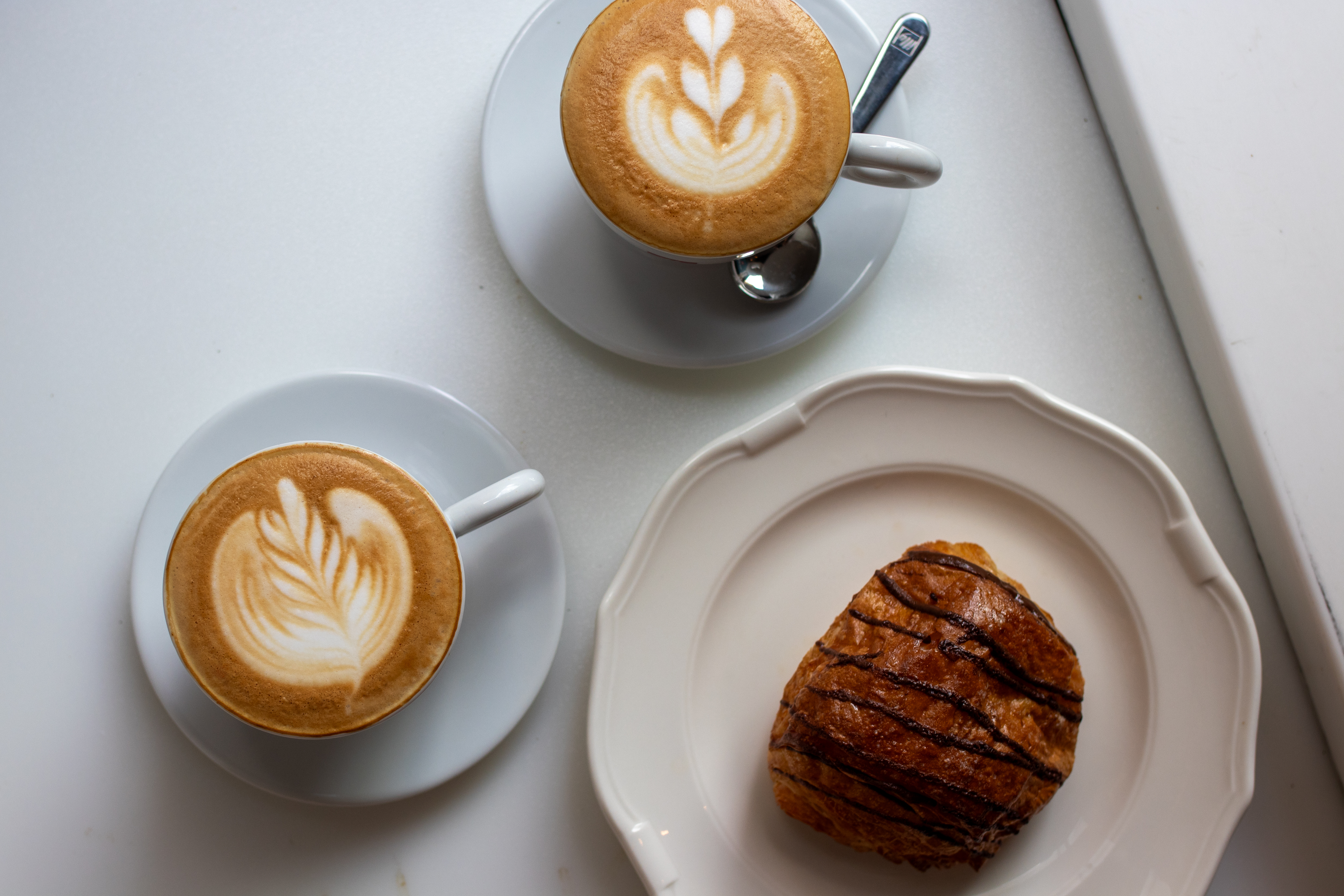 Bean by Bardea | DE.CO in Wilmington, DE