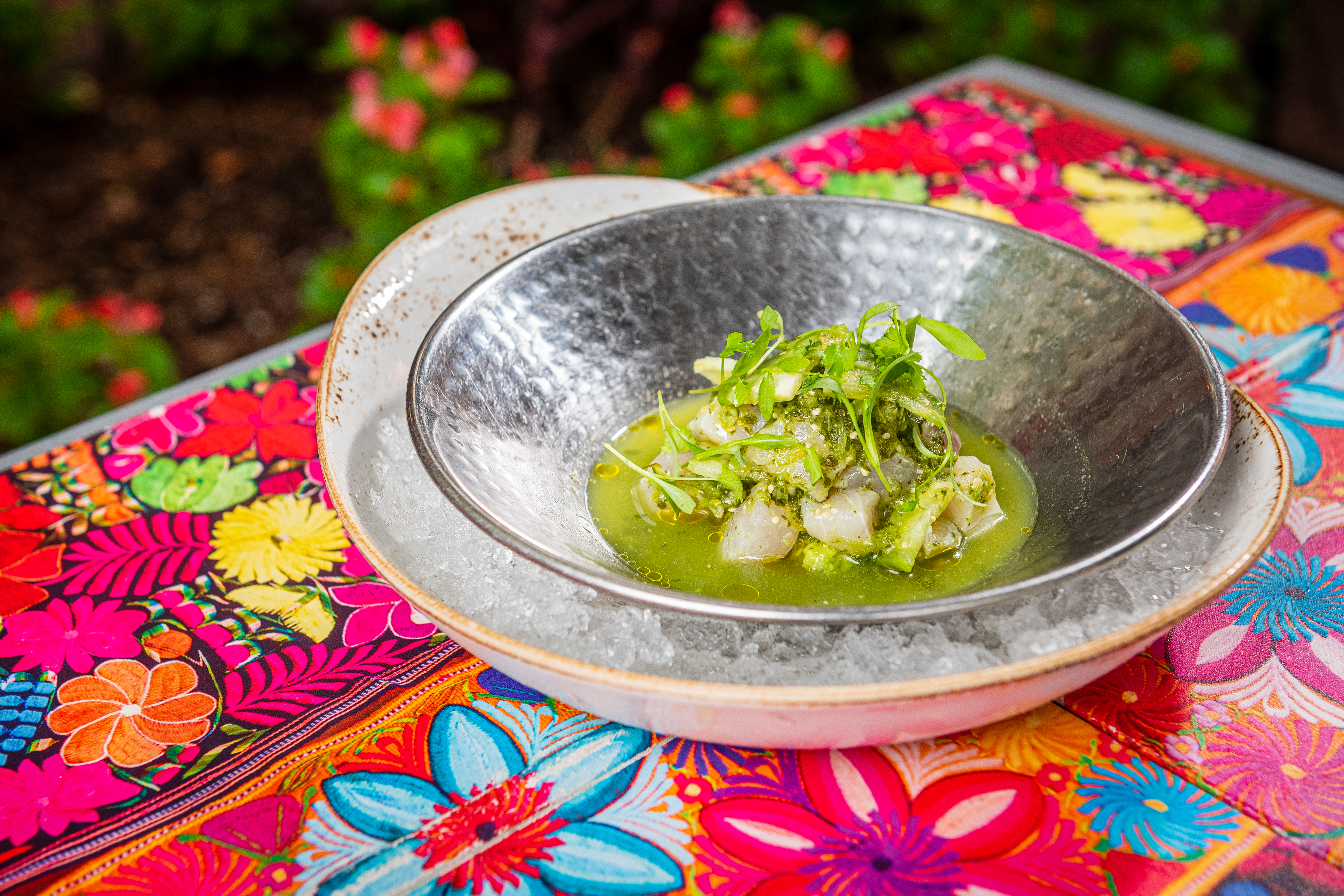 Washington, DC | Oyamel | Mexican Restaurant in New York City and ...