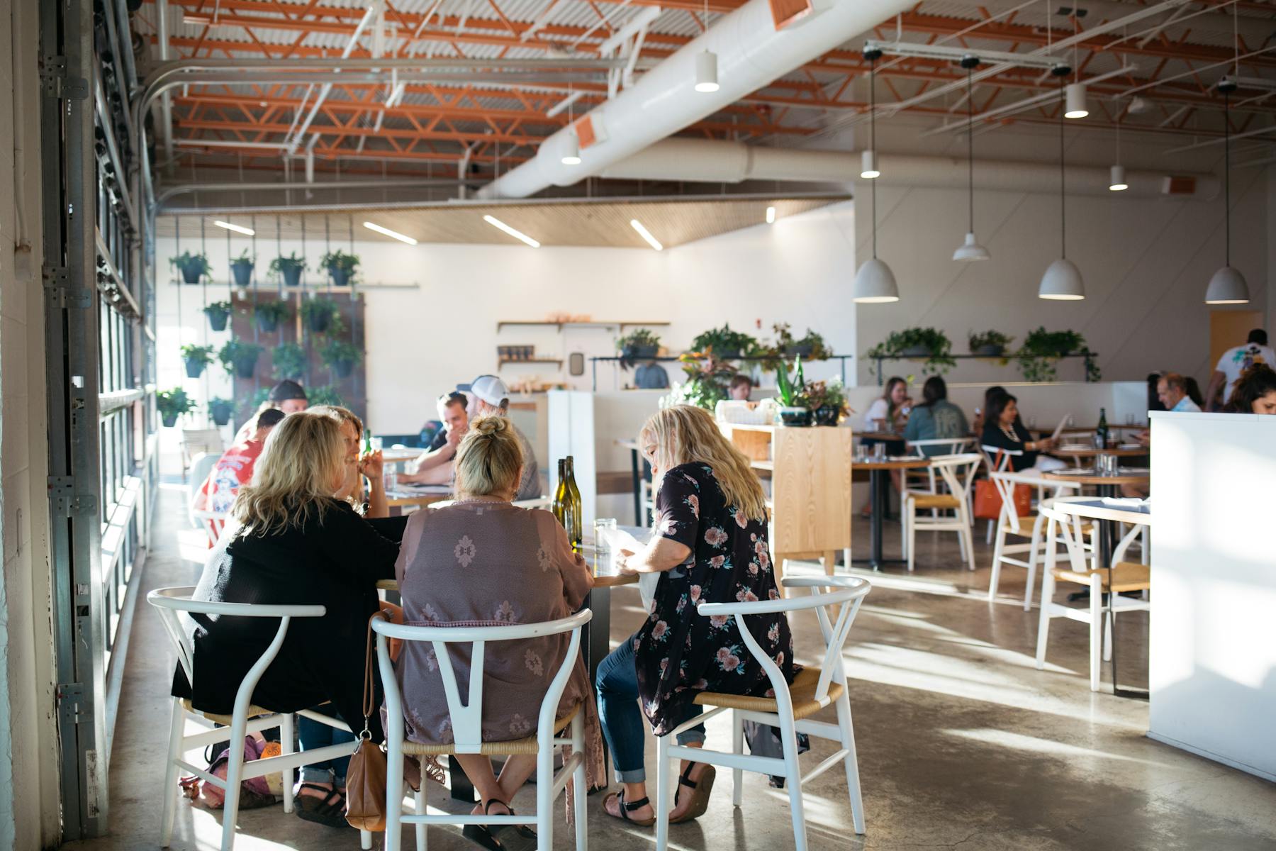 Milo All Day | Southern Inspired, Chef-Driven Cuisine in Waco, TX