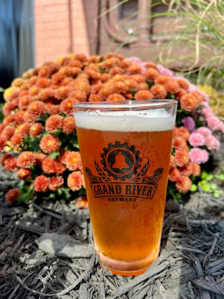 Pumpkin Beer: The GRB Take