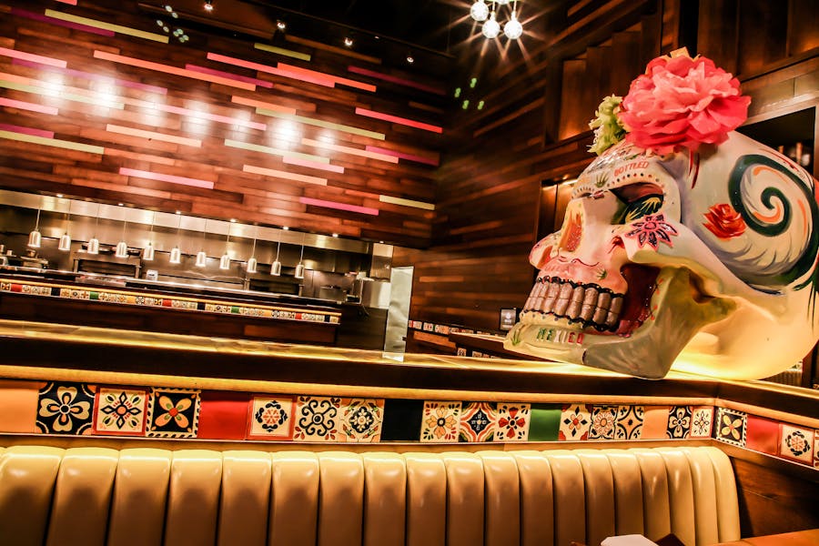 Contact | Mago Grill in Illinois