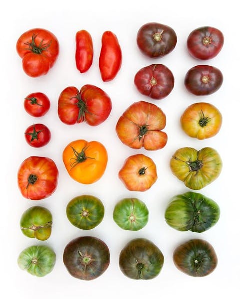 About | ABCV in New York, NY