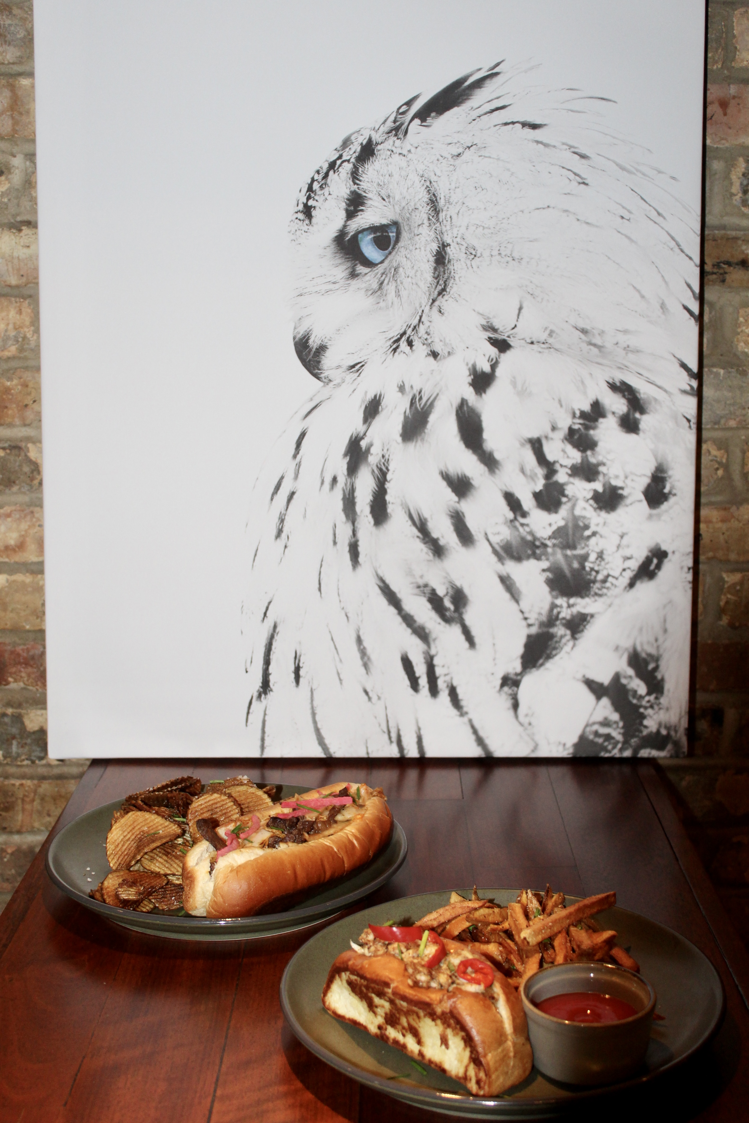 About | Lone Owl in Chicago, IL