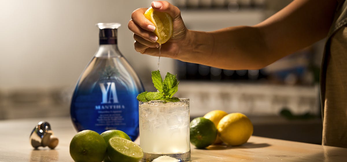 Cocktail Recipe: Mastiha for The Winter | Calissa Hamptons