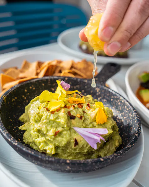 Little Italy Menus | Parakeet Cafe in CA